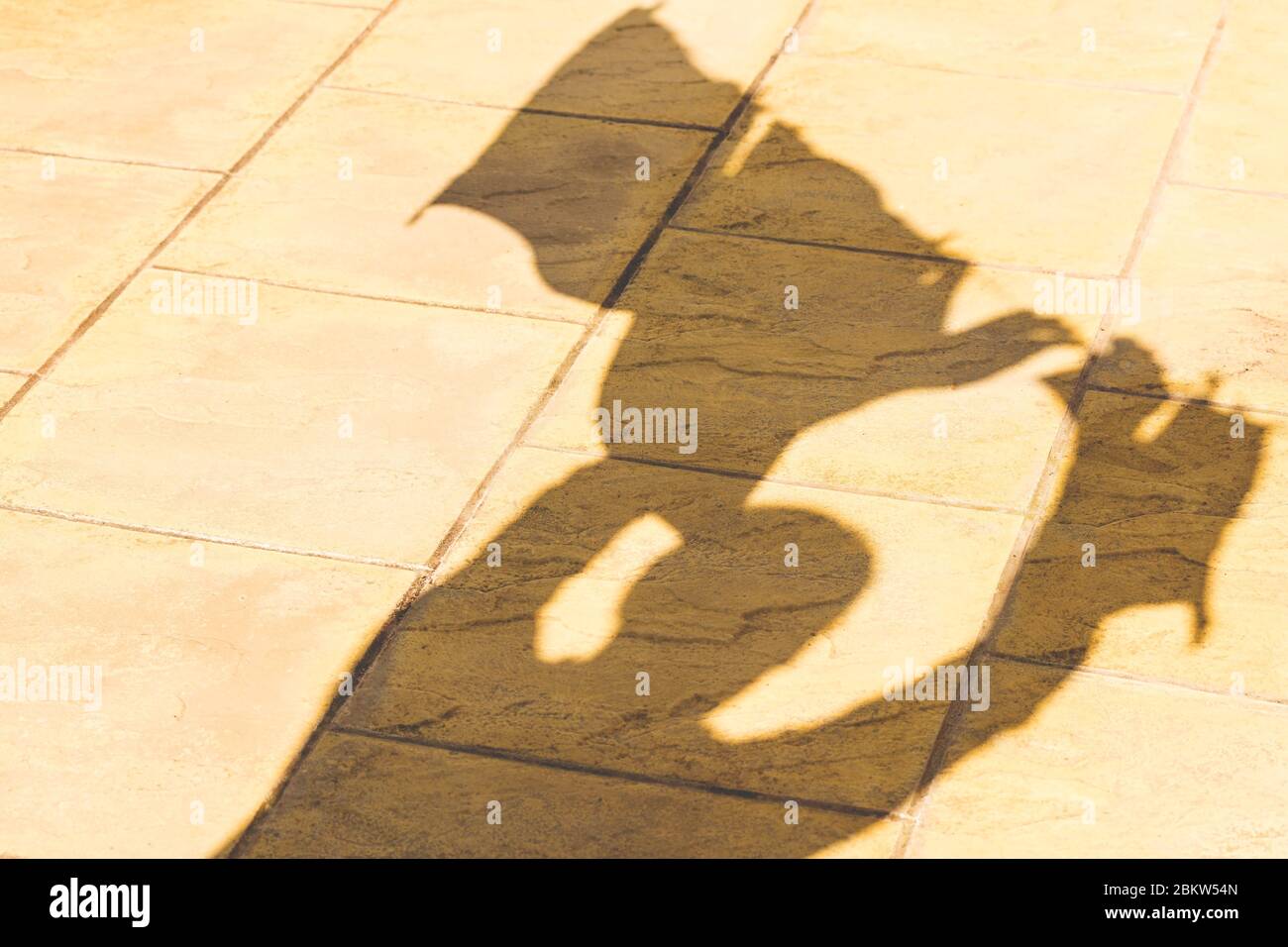 Sunlight shadow of man hang the clothes washing line at the garden ...