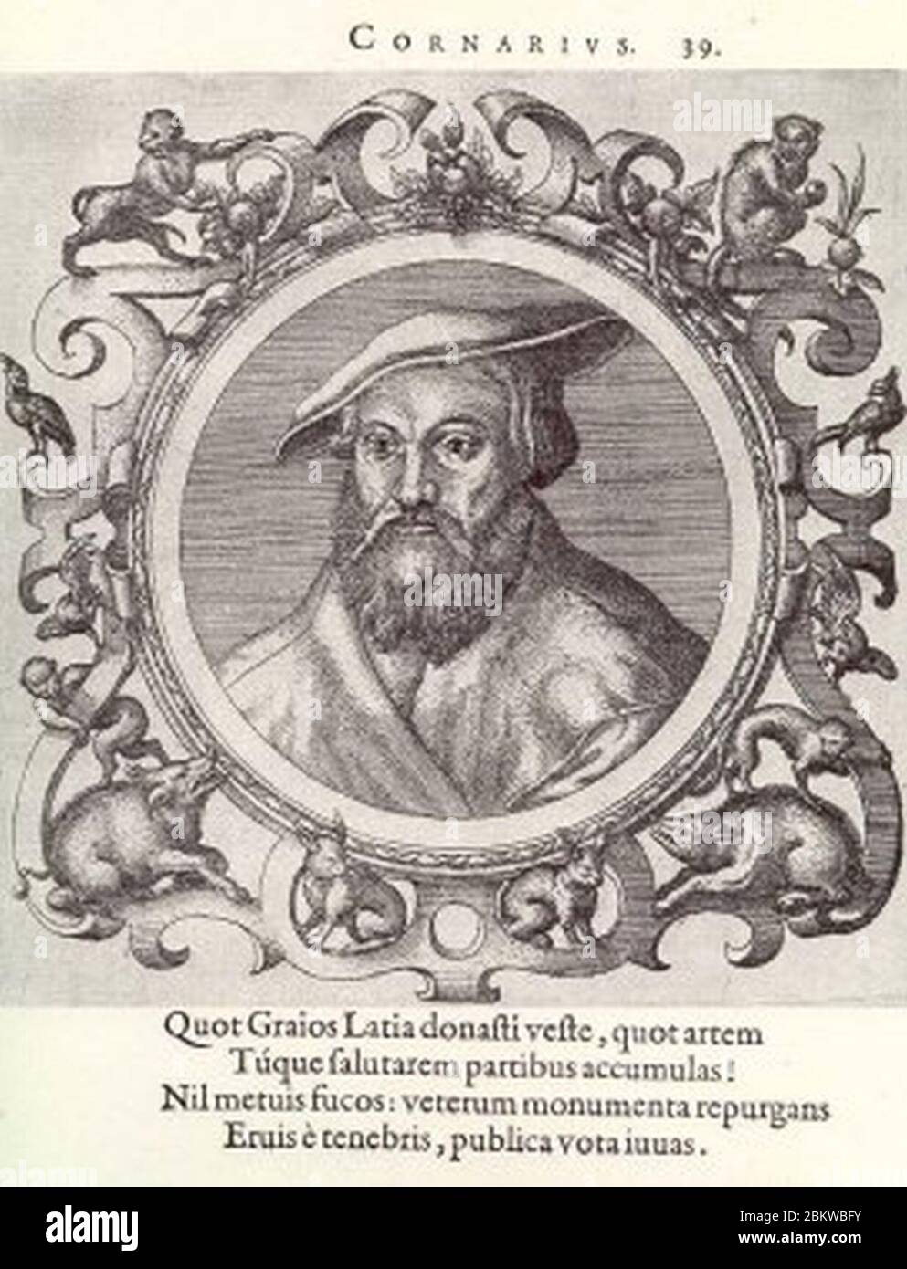 Iano hi-res stock photography and images - Alamy