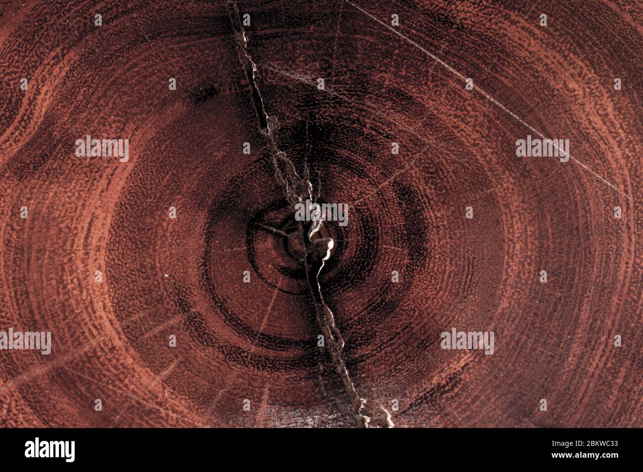 wood texture rust board Stock Photo - Alamy