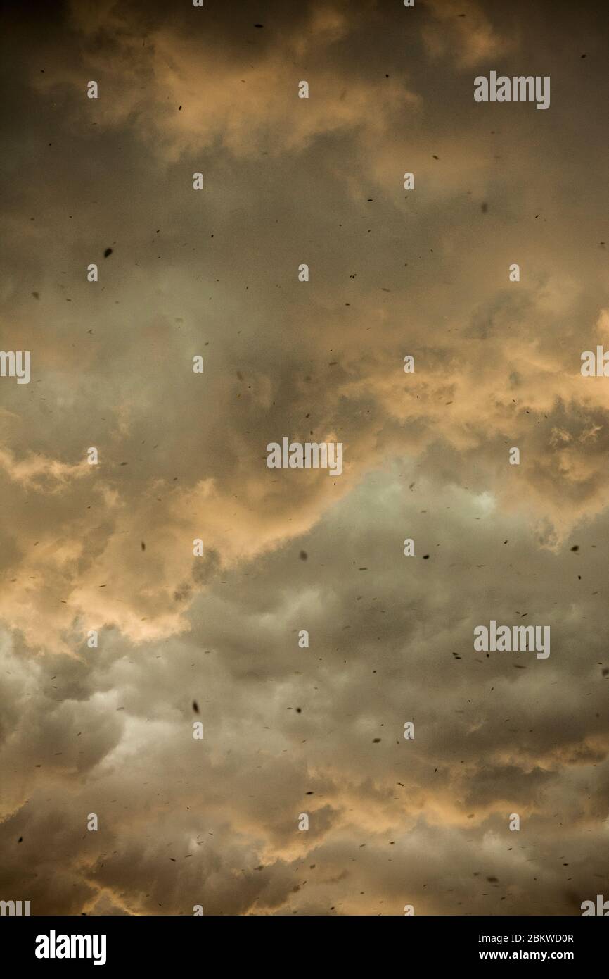 Colorful Storm Clouds in the Sky at Sunset Stock Photo - Alamy