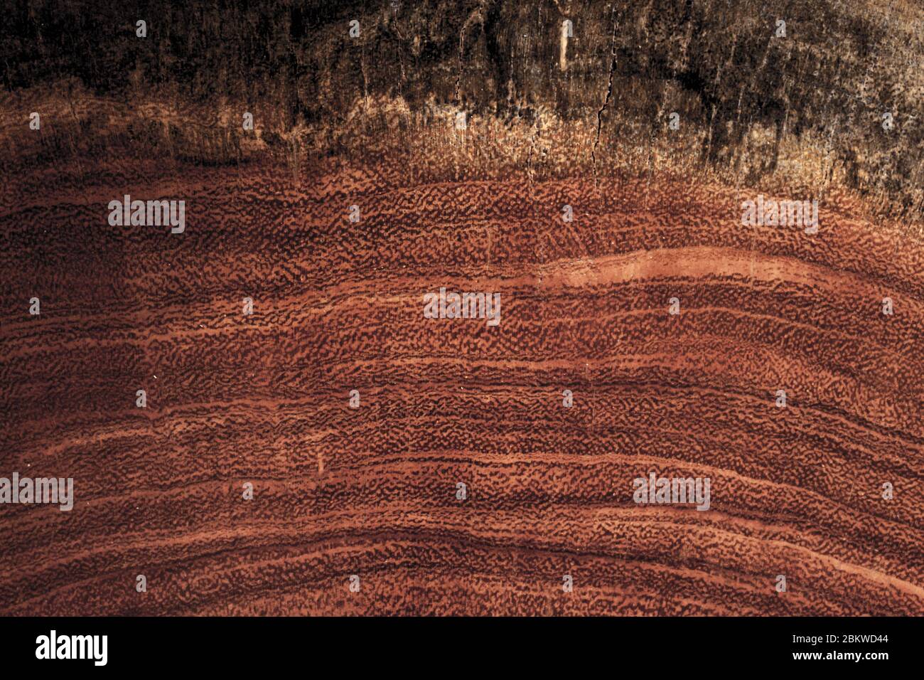 wood texture rust board Stock Photo - Alamy