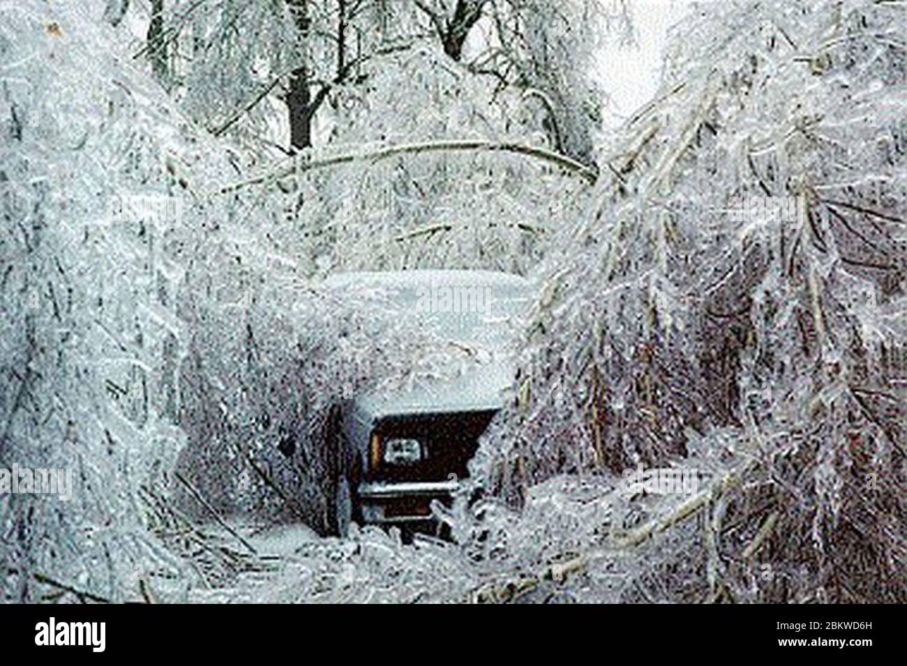 Ice Storm by NOAA Stock Photo - Alamy