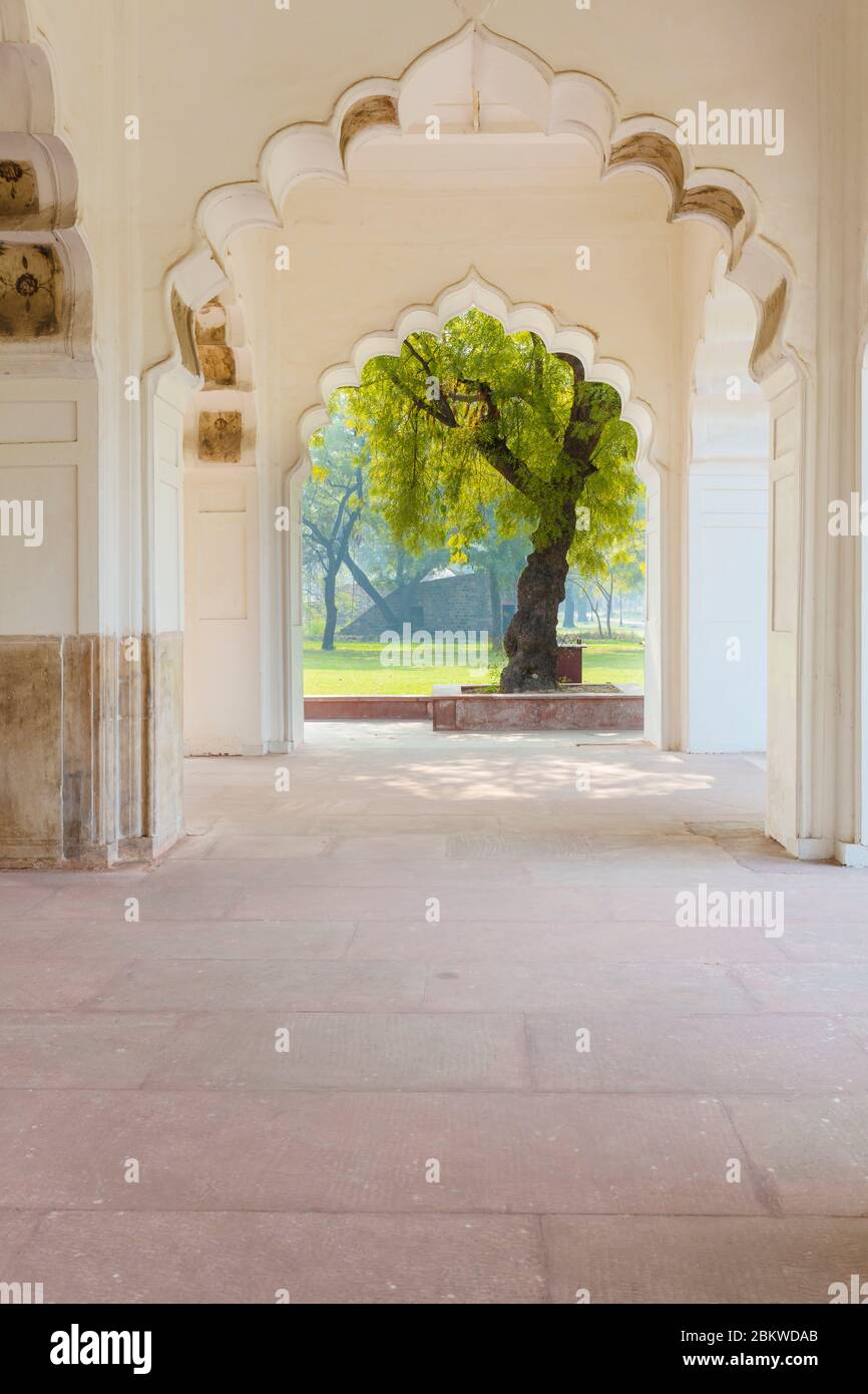 Rang Mahal, Red Fort, Lal Qila, Delhi, India Stock Photo - Alamy