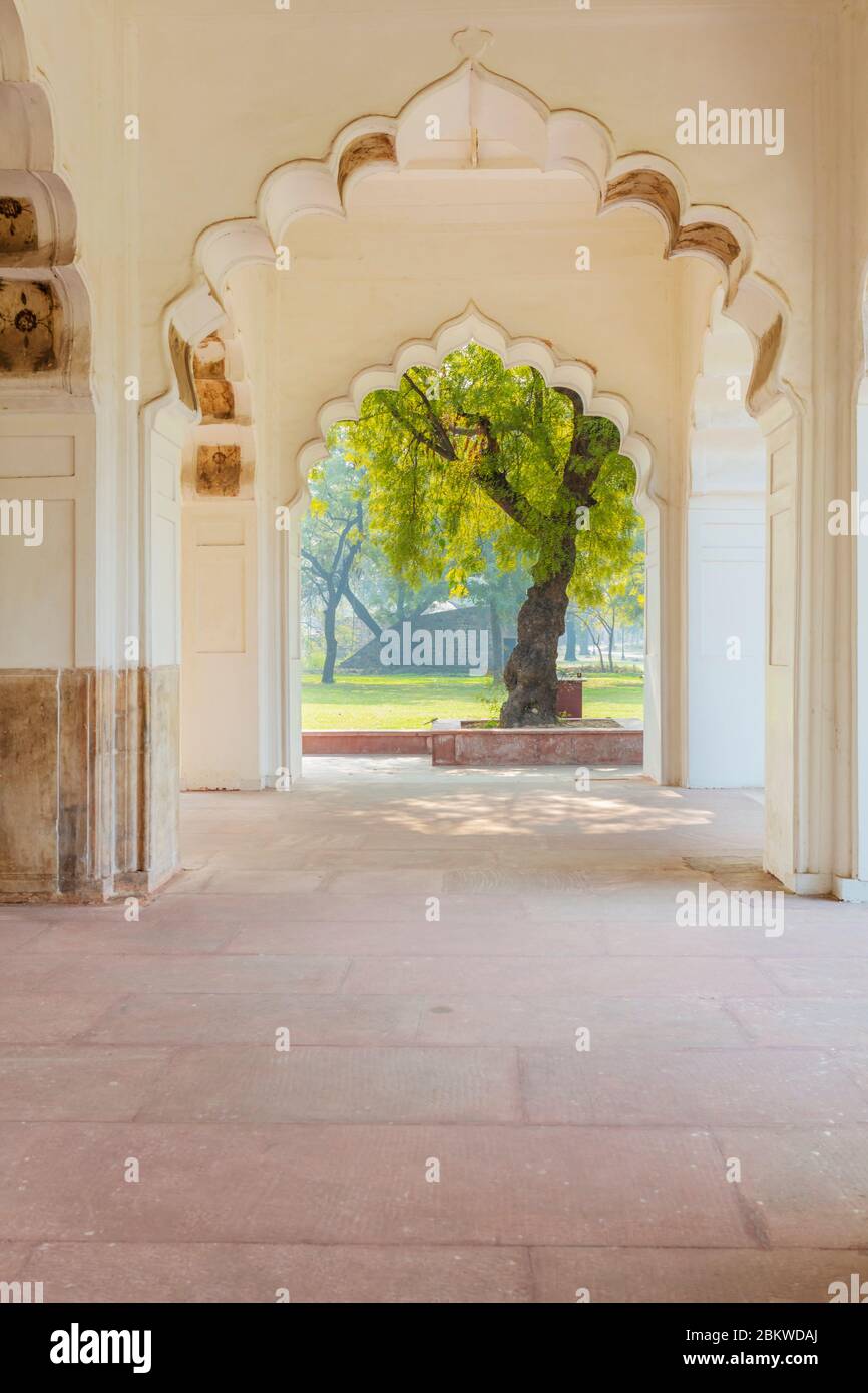 Rang Mahal, Red Fort, Lal Qila, Delhi, India Stock Photo - Alamy