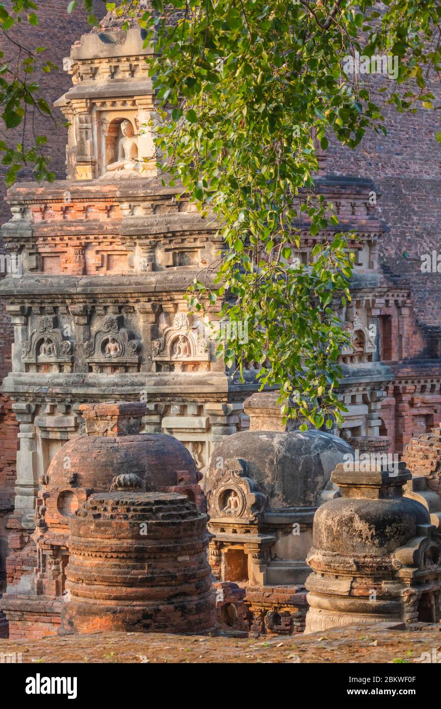 Stupa of Sariputta, Buddhist temple ruins, Nalanda, Bihar, India Stock ...