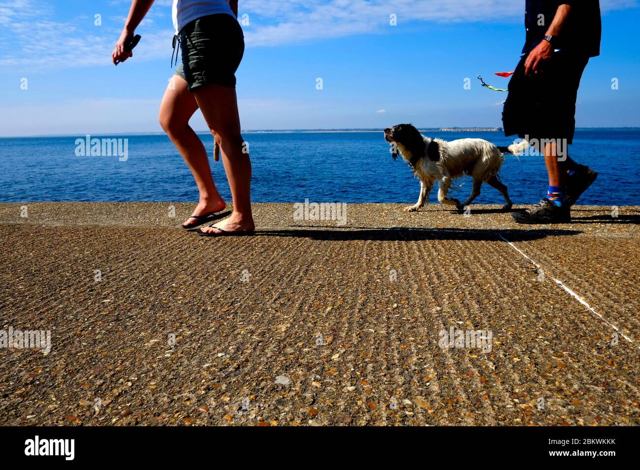Colwell Bay Isle of Wight bright sunny conditions calm sea looking ...