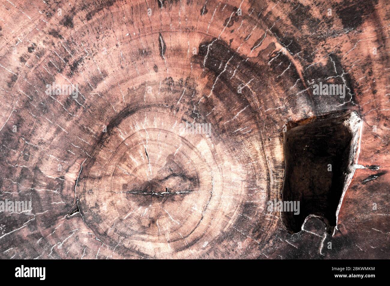 wood texture rust board Stock Photo - Alamy