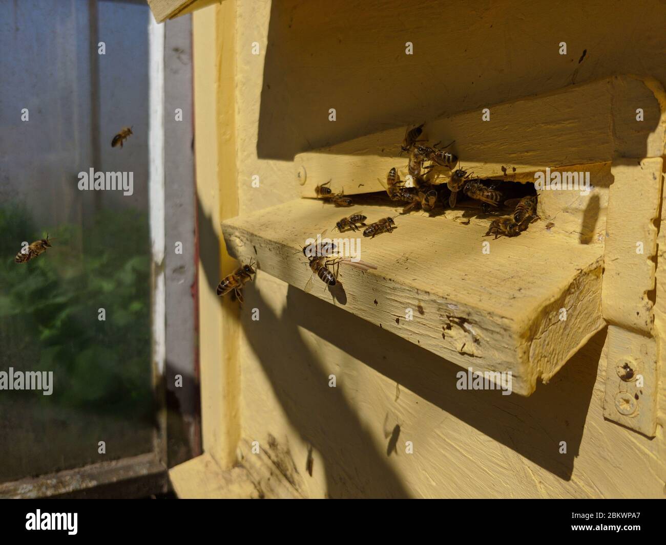 Beehive box hi-res stock photography and images - Alamy