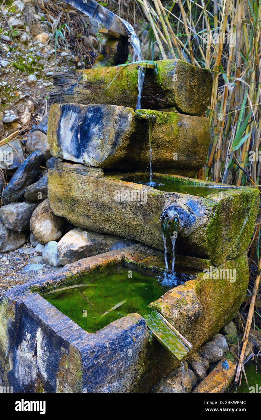 small waterfall on wet logs with green moss Stock Photo - Alamy