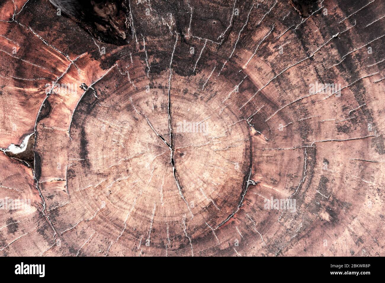 wood texture rust board Stock Photo - Alamy