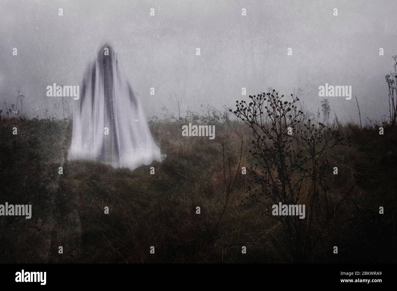 Ghostly figure mist hi-res stock photography and images - Alamy