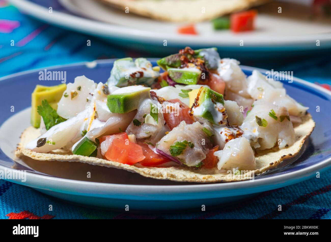 Mexican fish ceviche with crispy fried tortillas Stock Photo - Alamy