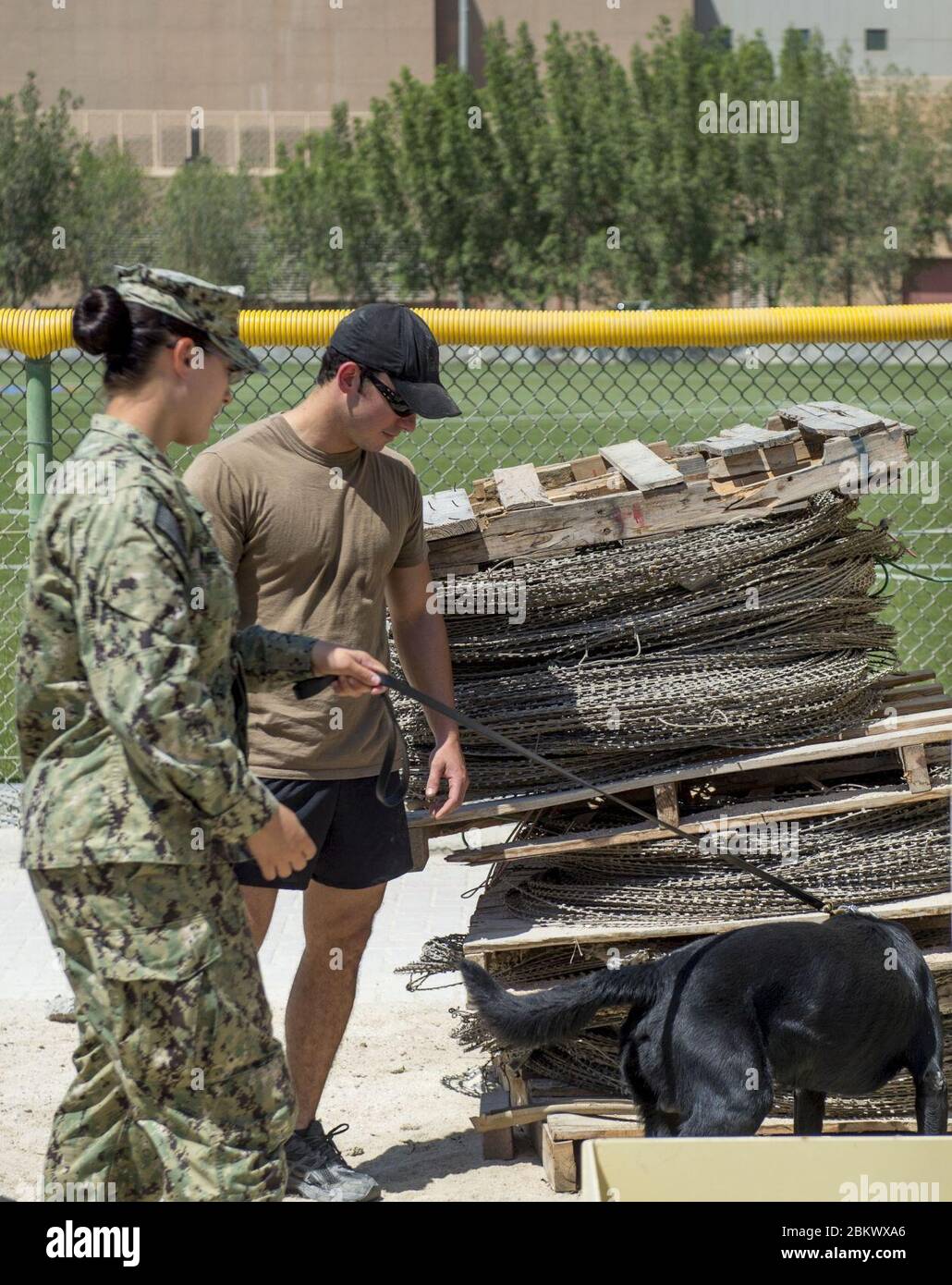 Ied training hi-res stock photography and images - Alamy