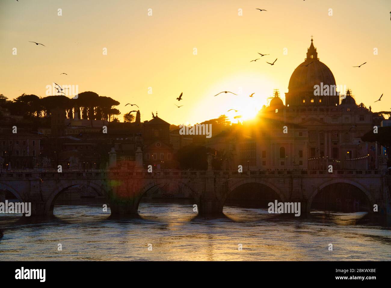 Vatican birds hi-res stock photography and images - Alamy