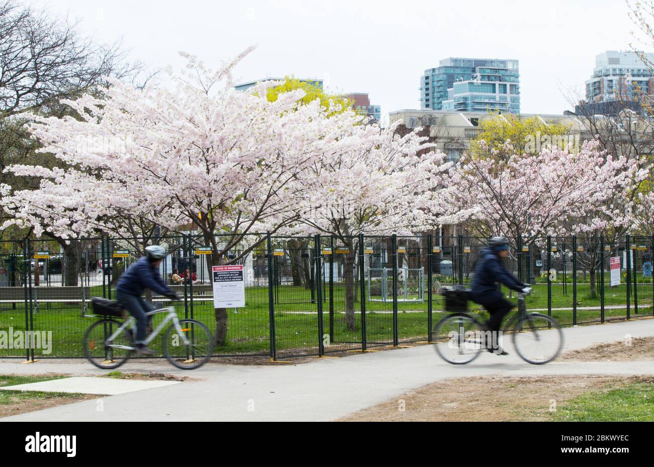 Trinity park toronto blossom hi-res stock photography and images - Alamy