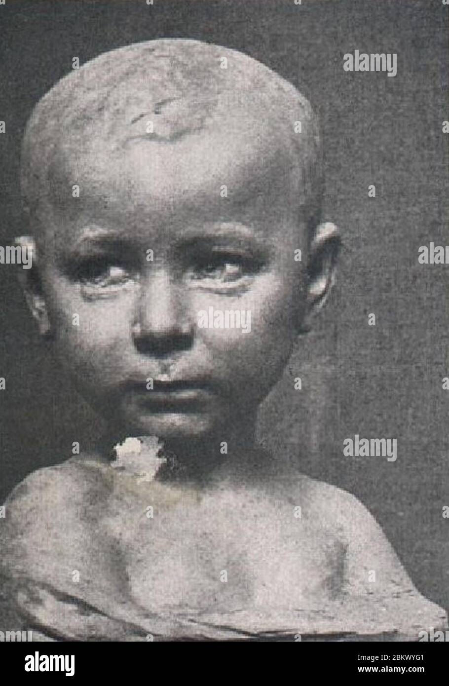 Weirich hi-res stock photography and images - Alamy