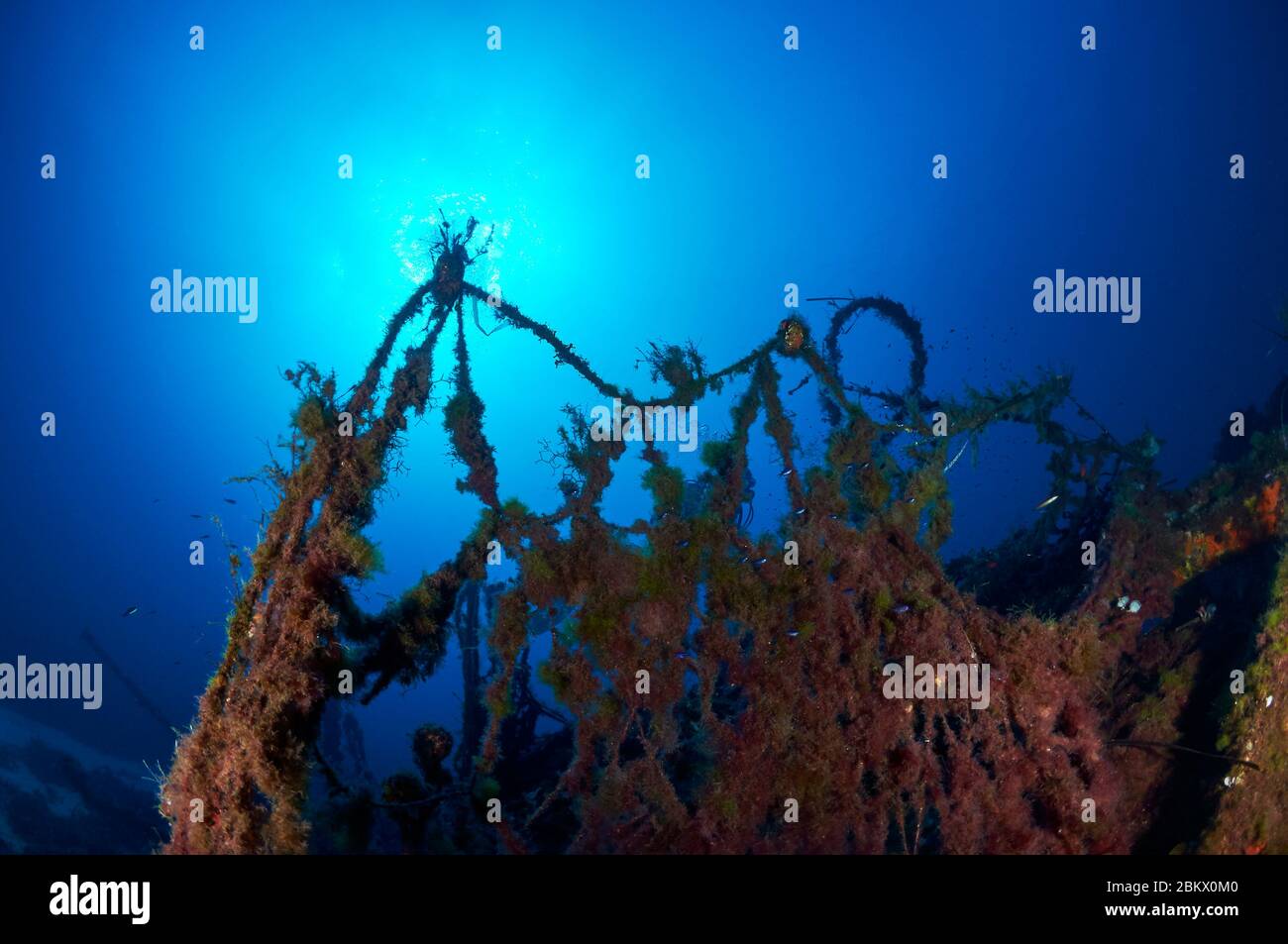 Algae nets hi-res stock photography and images - Alamy