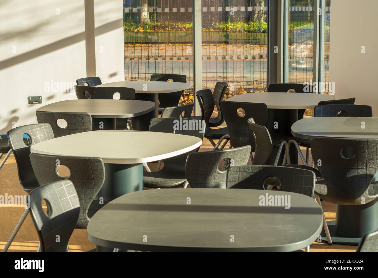 Interior of an empty canteen with modern tables and chairs lit by ...