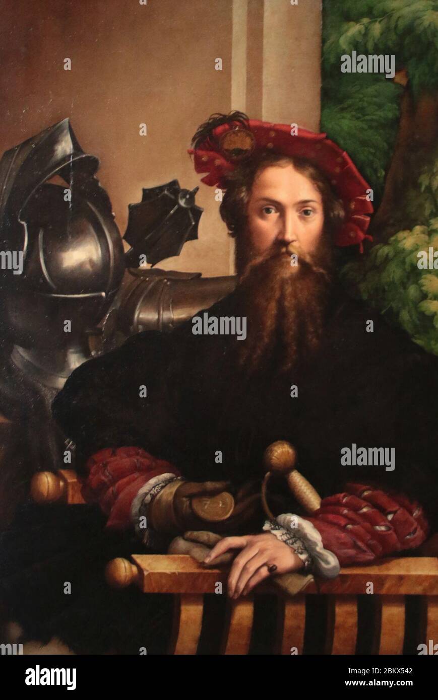Il Parmigianino (Girolamo Francesco Maria Mazzola 1503-1540) - ritratto ...