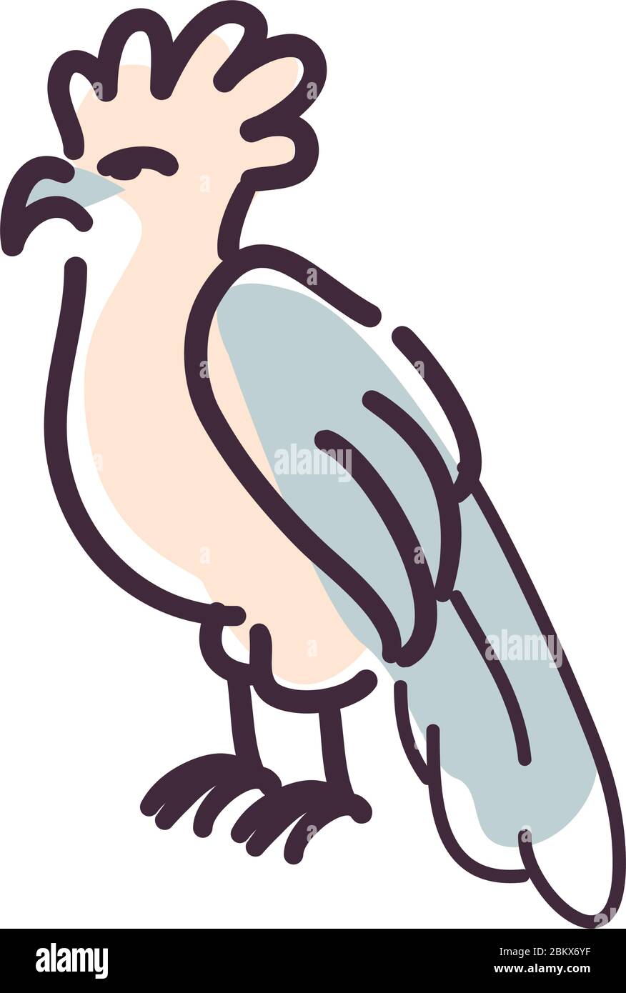 cackatoo bird cartoon flat style icon design, Animal feather wildlife ...