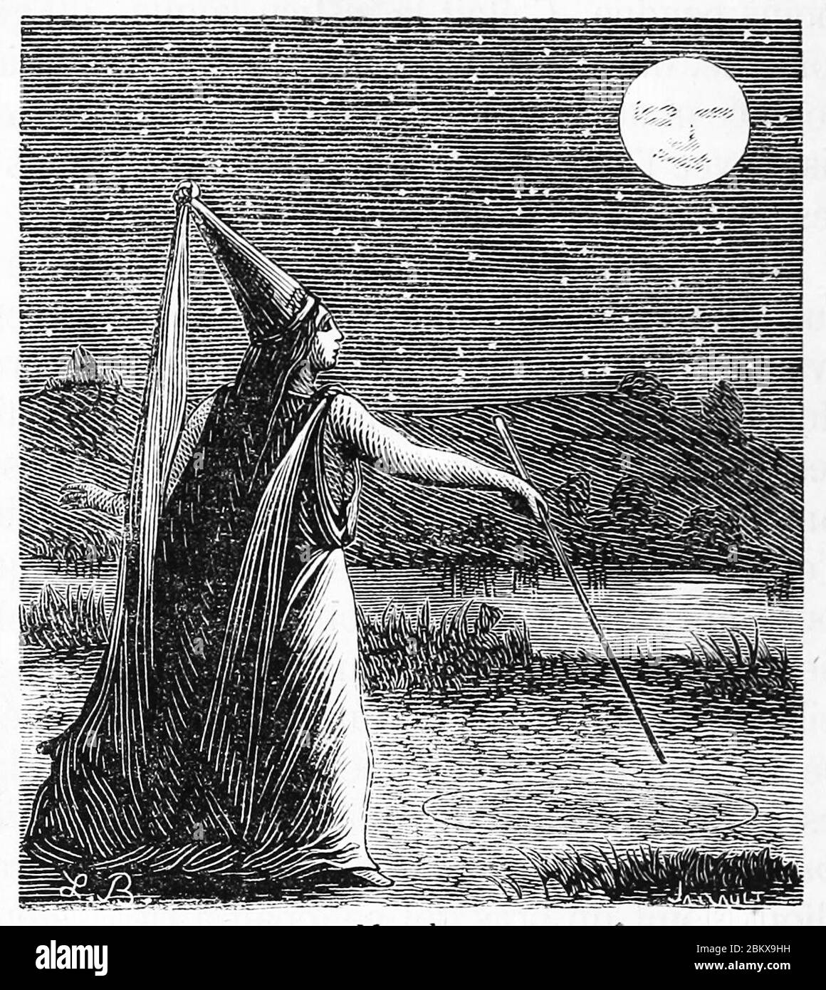 Mycale hi-res stock photography and images - Alamy