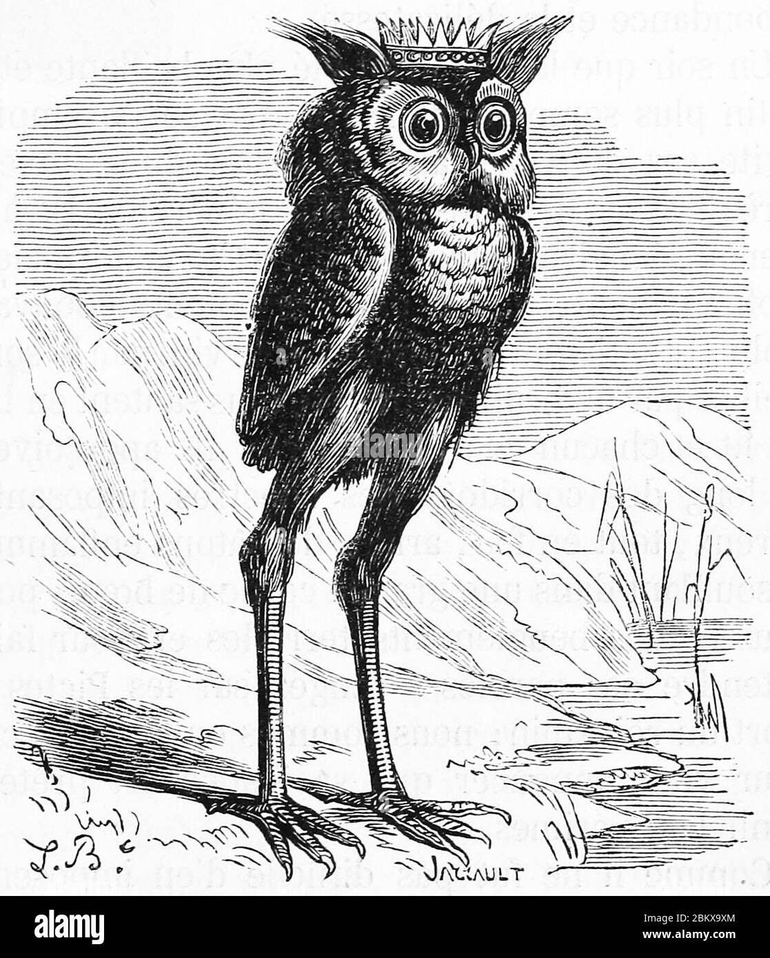 Stolas hi-res stock photography and images - Alamy