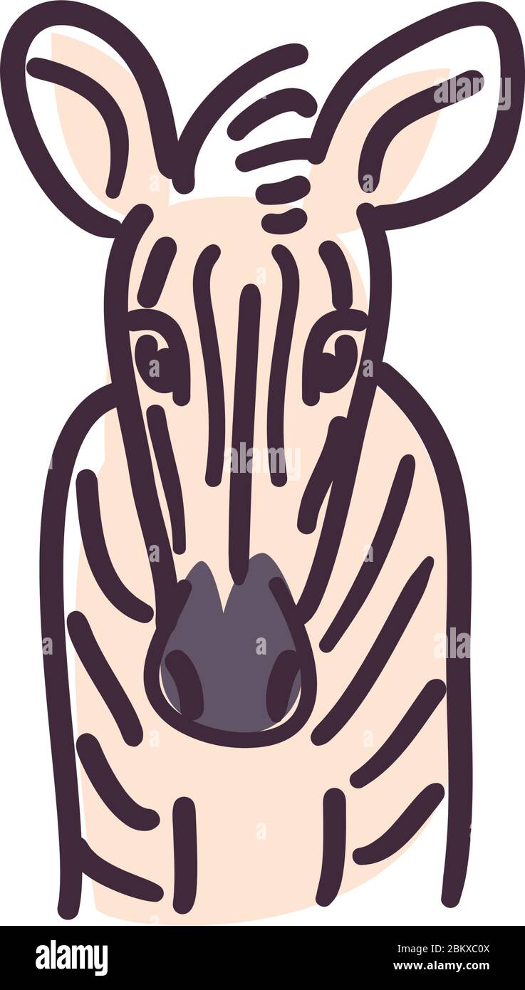 zebra cartoon flat style icon design, Animal zoo and life theme Vector ...