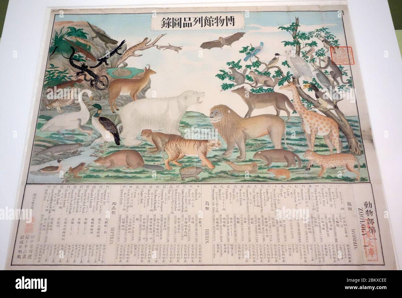 Illustrated Catalogue of the Museum, Animals No. 1, selected by Tanaka ...