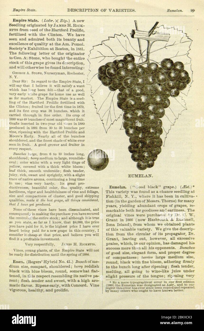 Illustrated descriptive catalogue of American grape vines (Page 99 ...