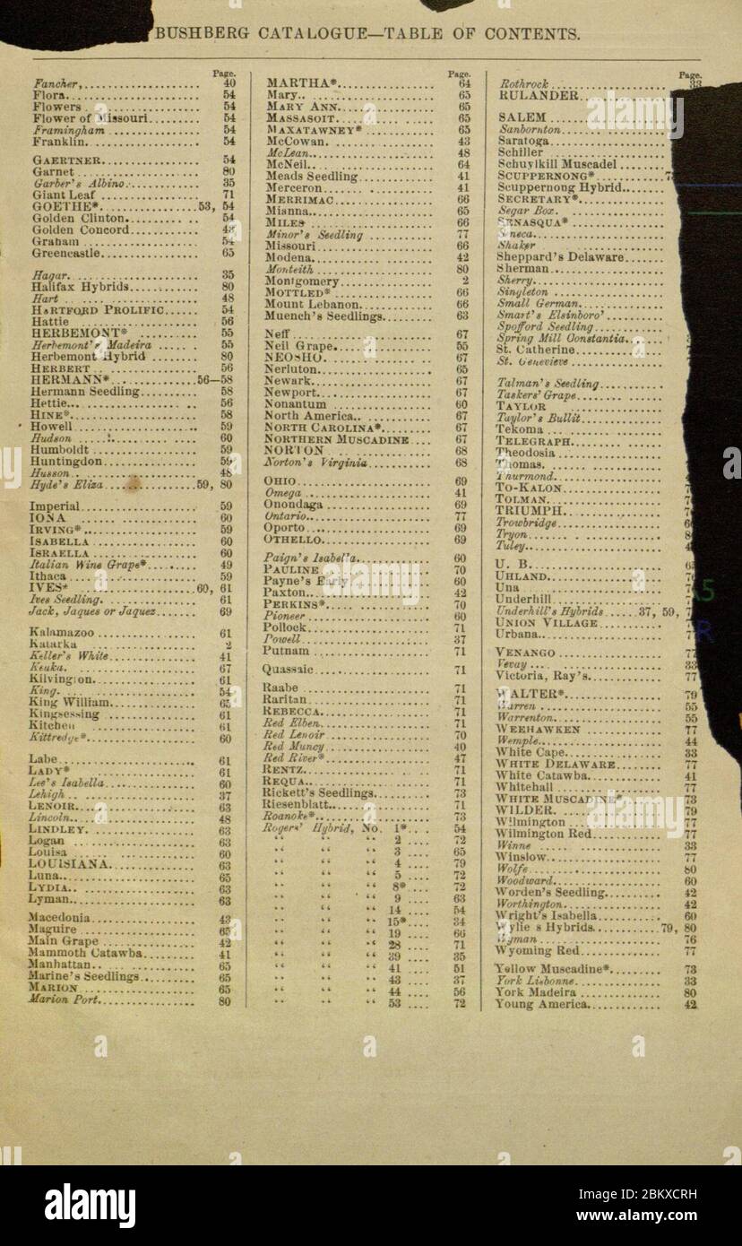 Our illustrated descriptive catalogue hi-res stock photography and ...