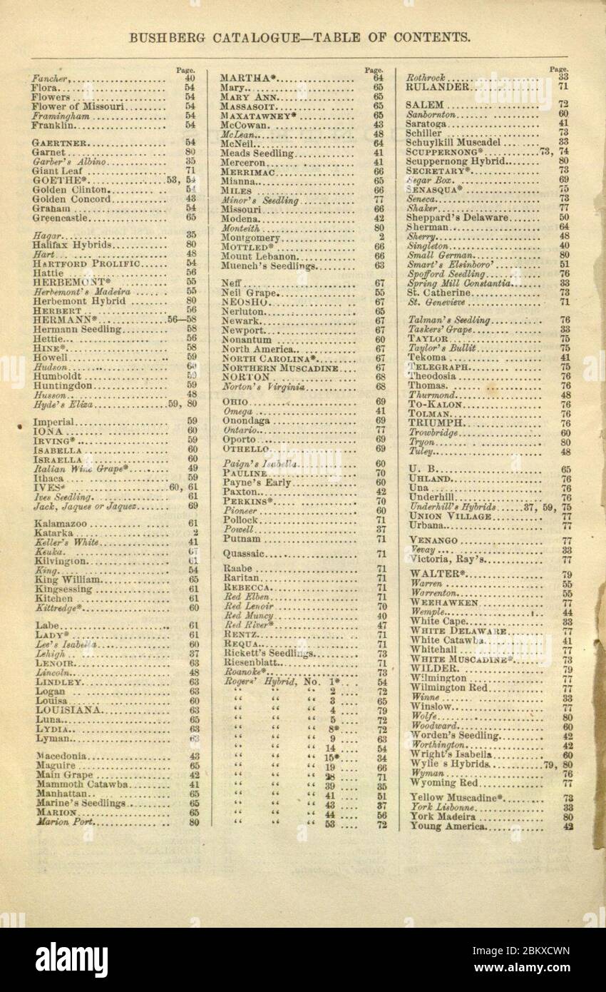 Our illustrated descriptive catalogue hi-res stock photography and ...