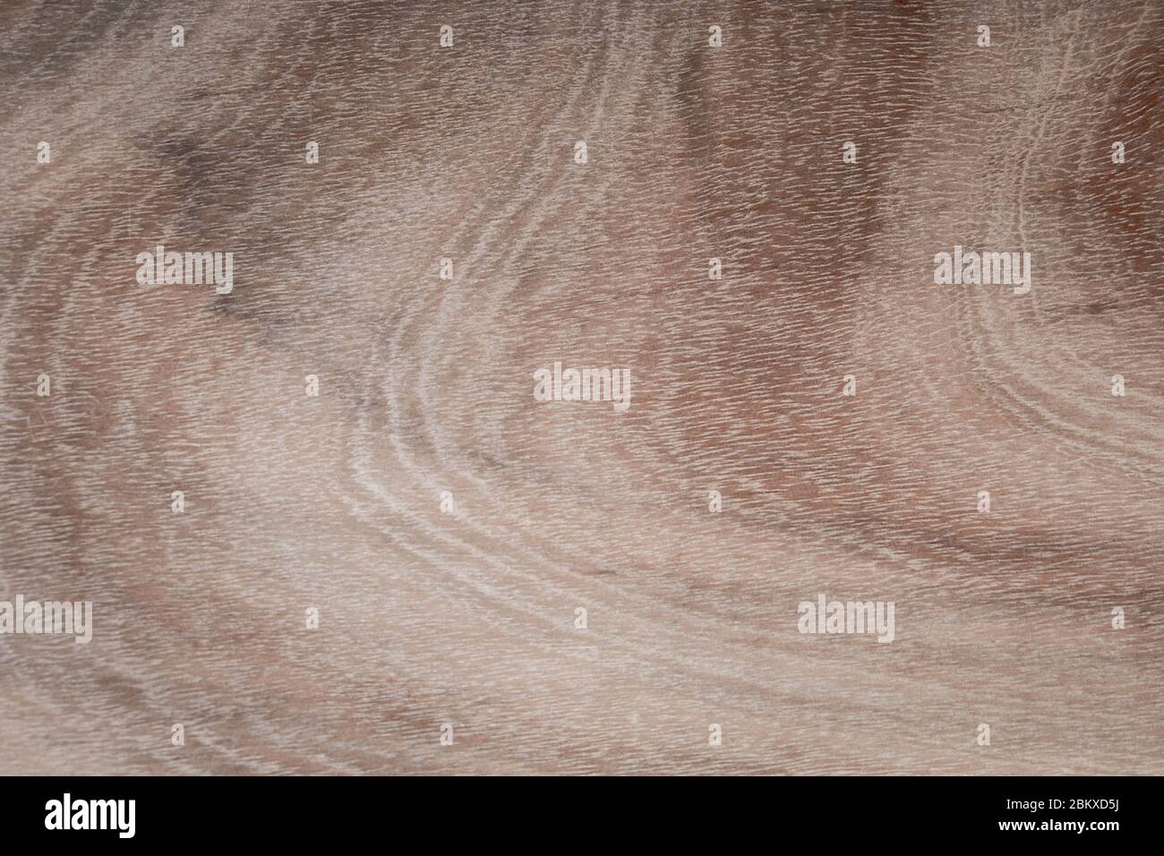 wood texture rust board Stock Photo - Alamy