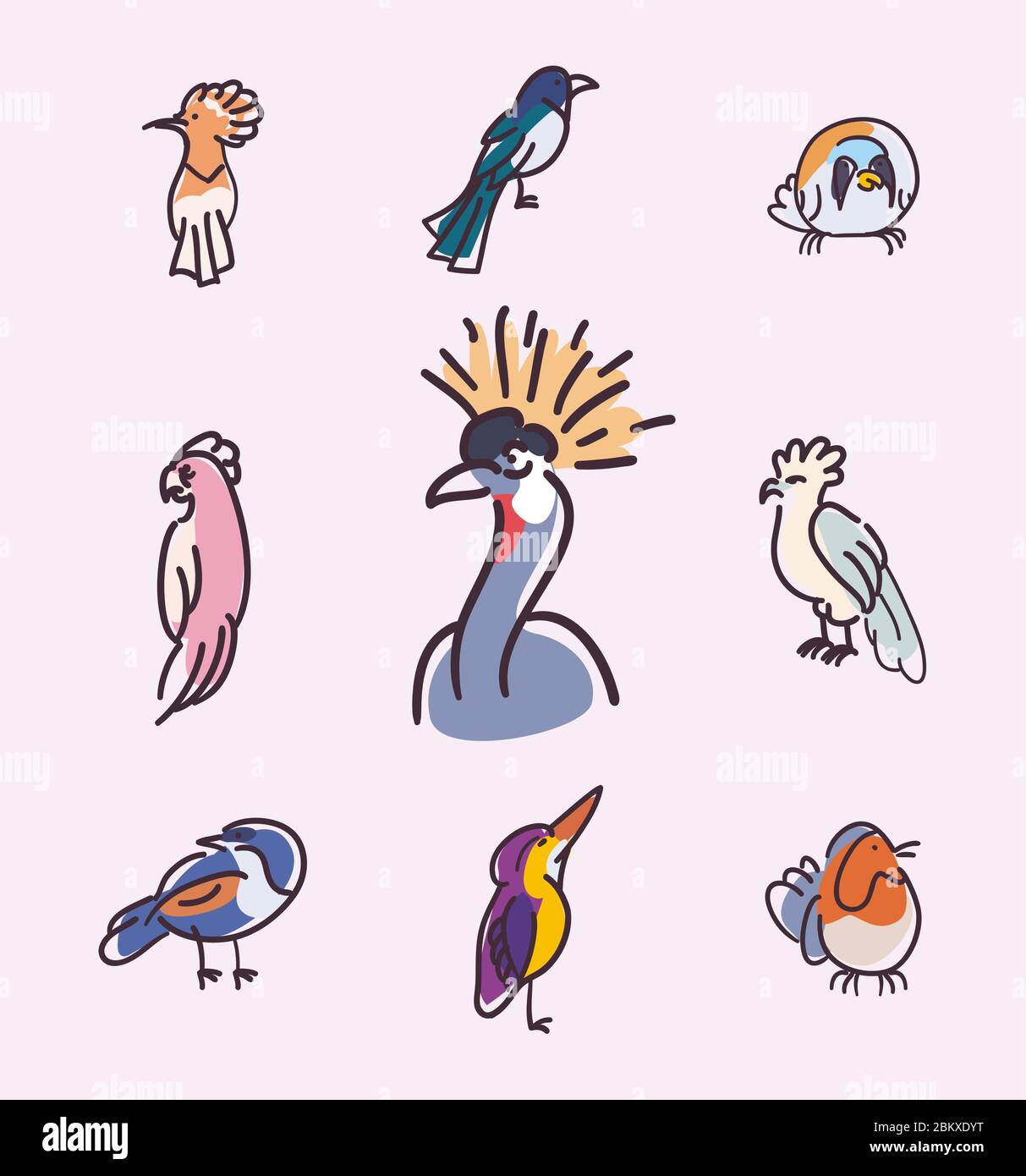 birds cartoons design, Animals feather wildlife and beak theme Vector ...