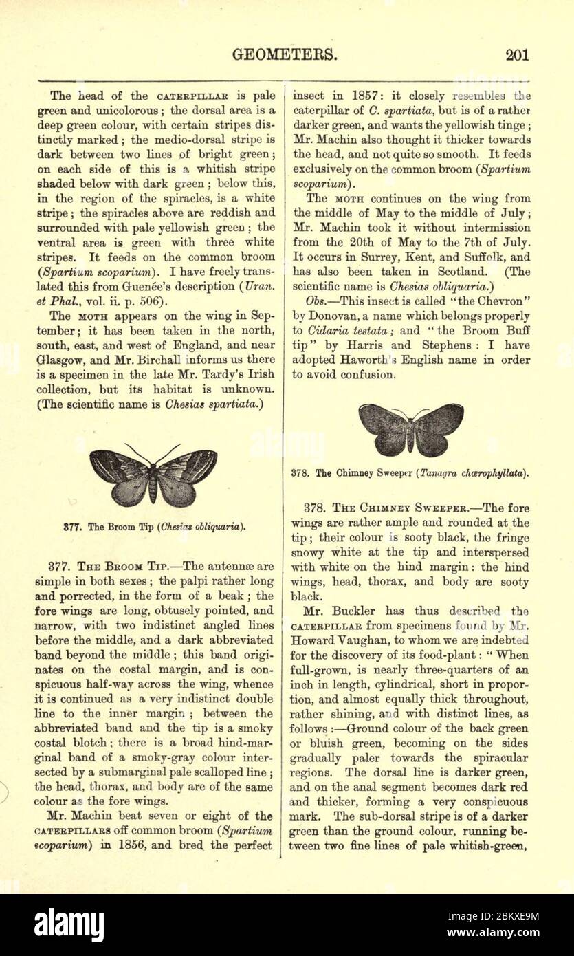 Illustrated natural history of British butterflies and moths (Page 201 ...
