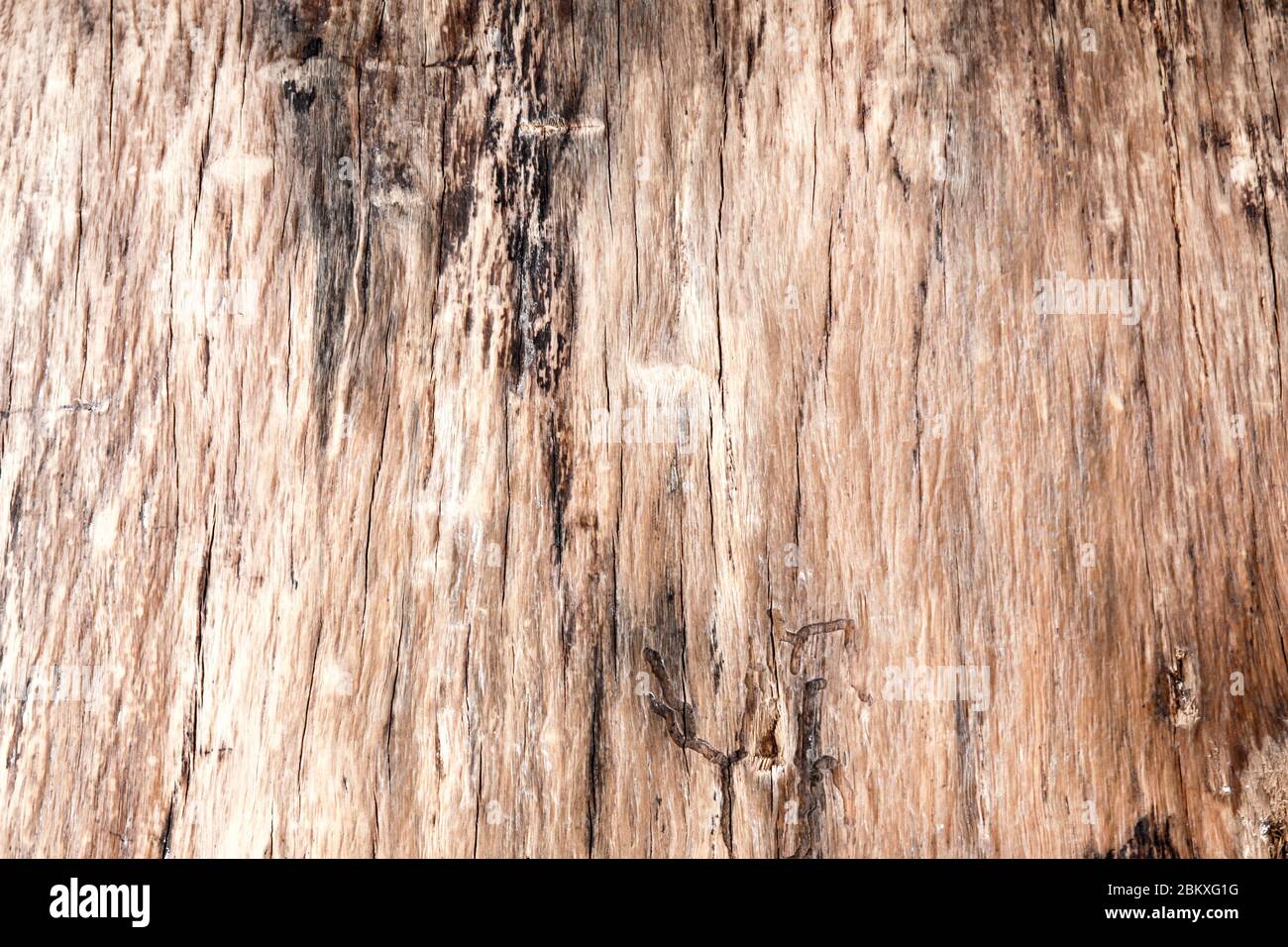 wood texture rust board Stock Photo - Alamy