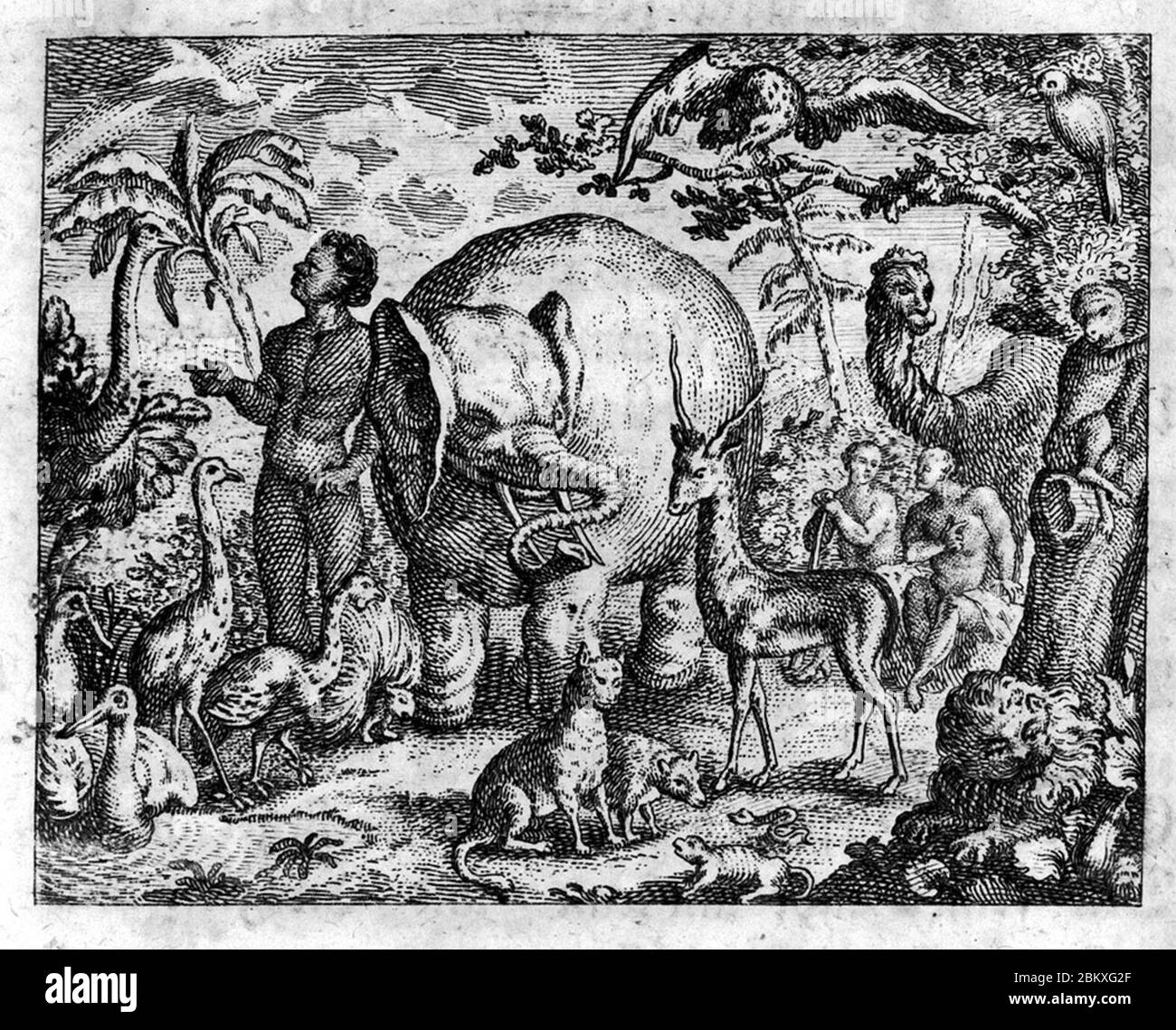 Vernunft hi-res stock photography and images - Alamy