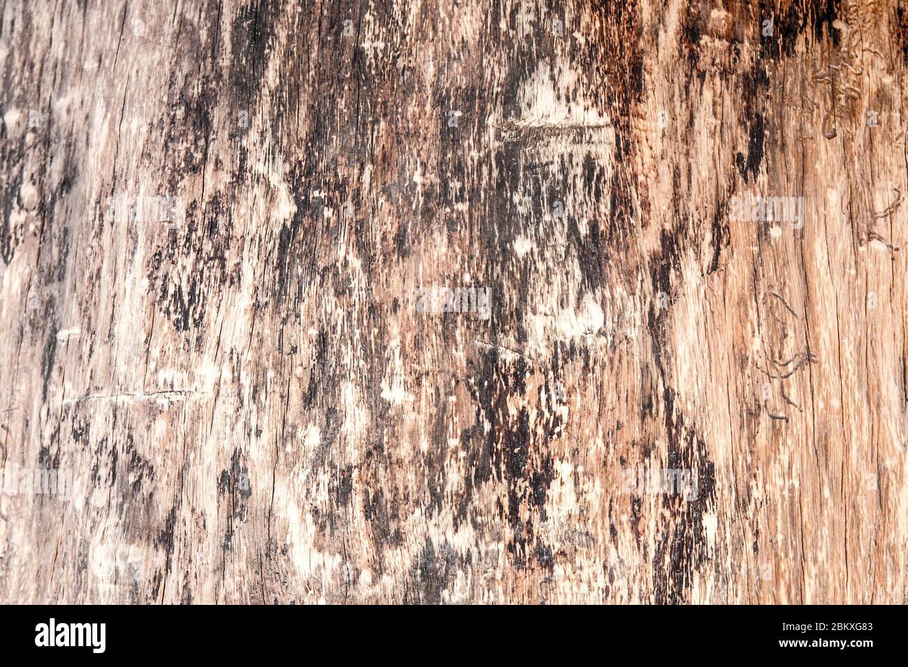 wood texture rust board Stock Photo - Alamy
