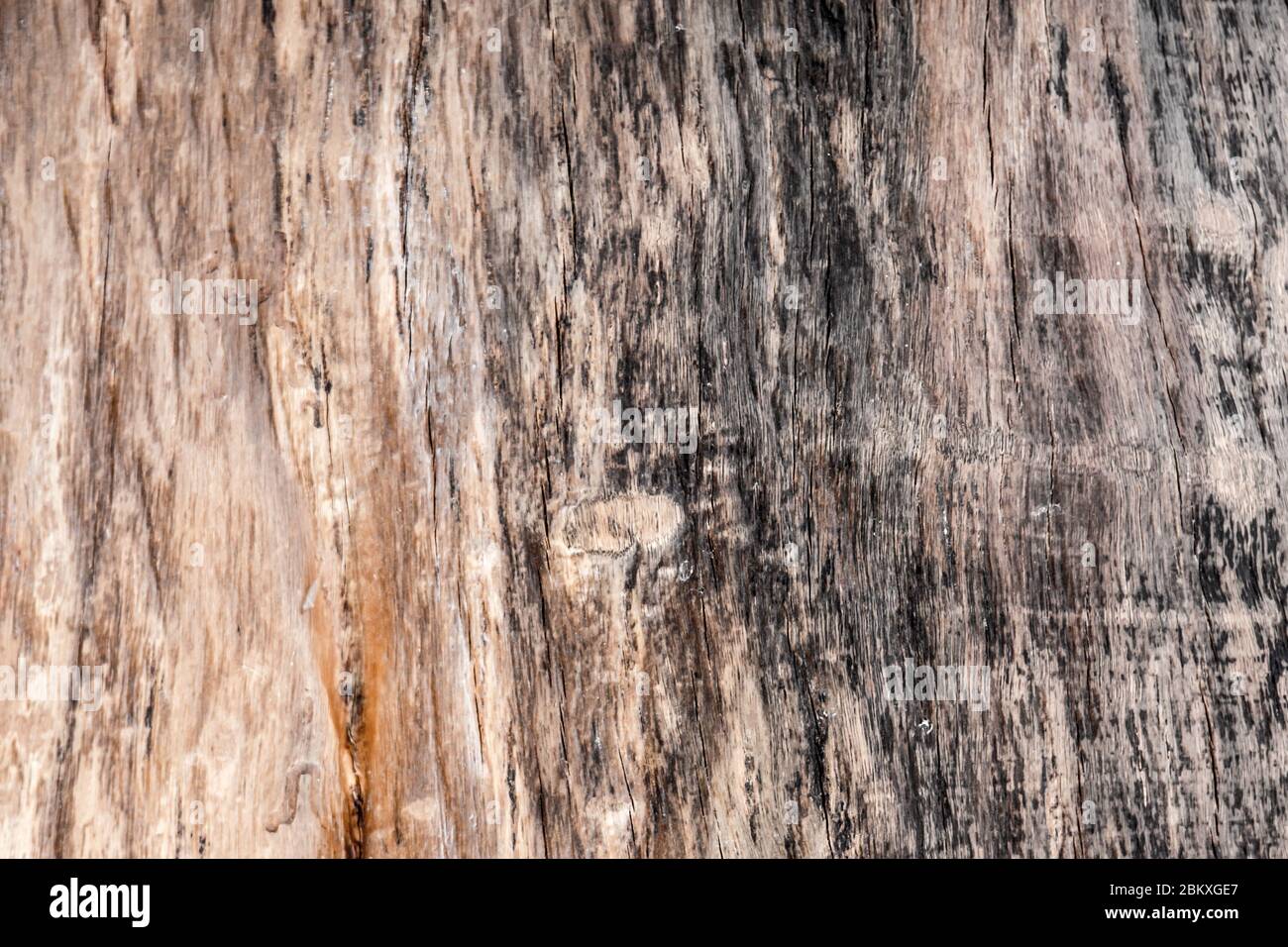 wood texture rust board Stock Photo - Alamy