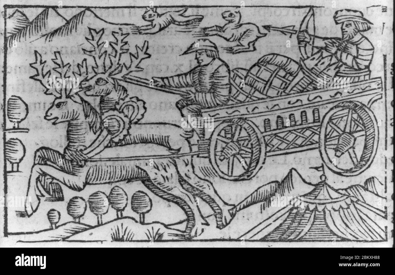 Illustration of activities of Lapps and Finns- reindeer pair drawing ...