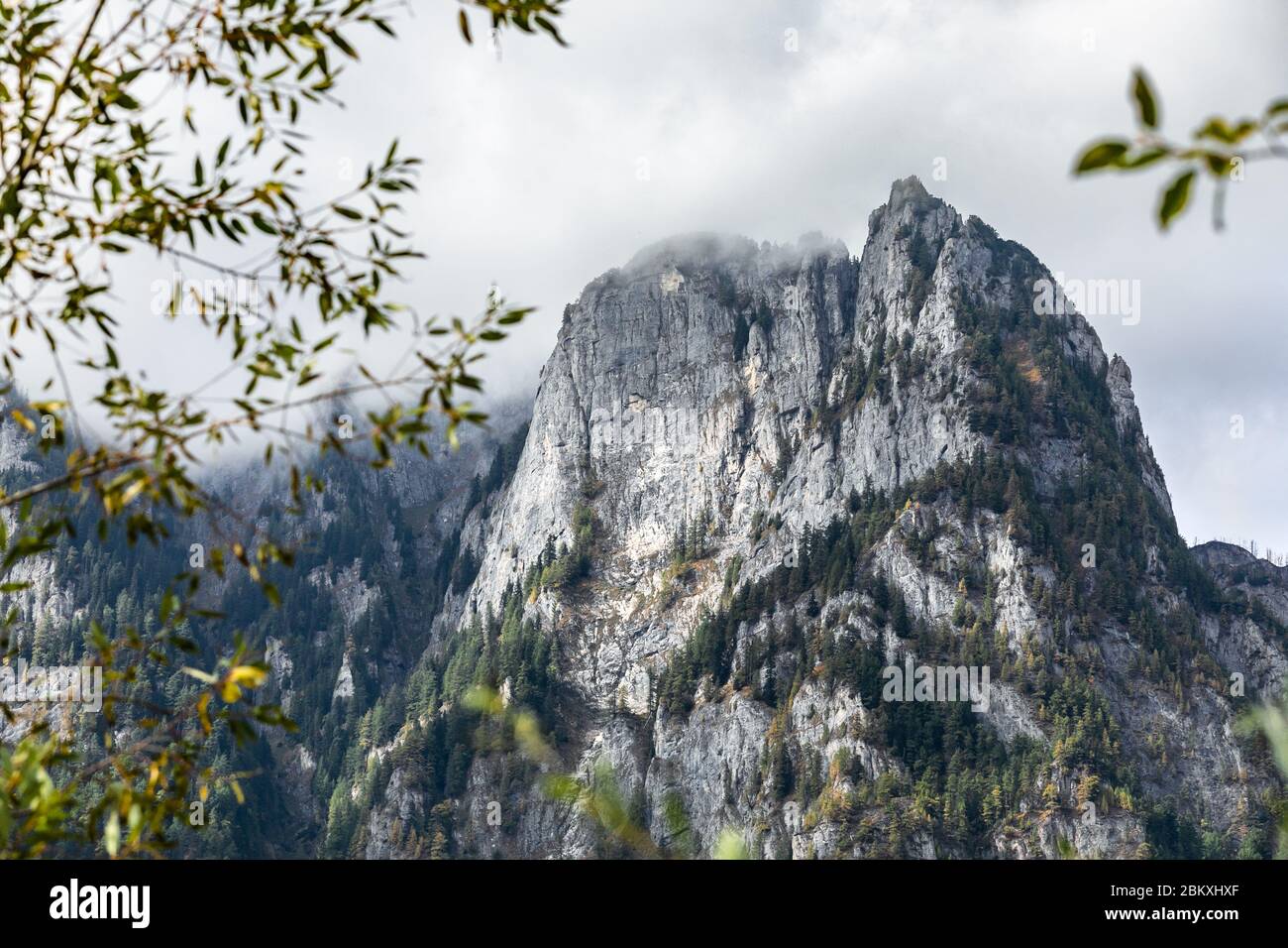 Bucegi national park mountain ridge misty landscape Stock Photo - Alamy