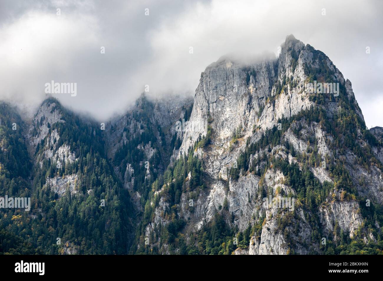 Bucegi national park hi-res stock photography and images - Alamy