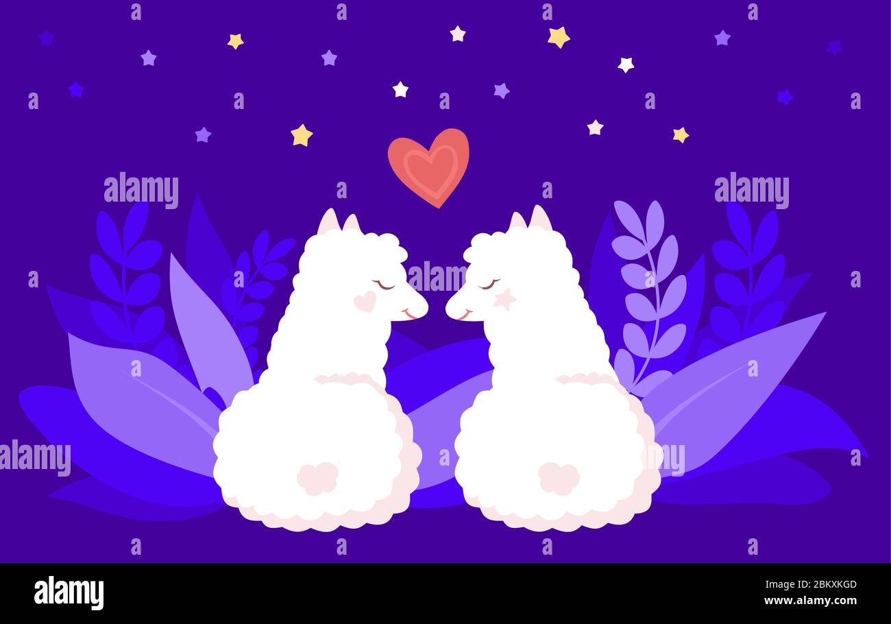Two alpacas or llamas, romantic night of love. Funny flat cartoon character, smiling animal ...