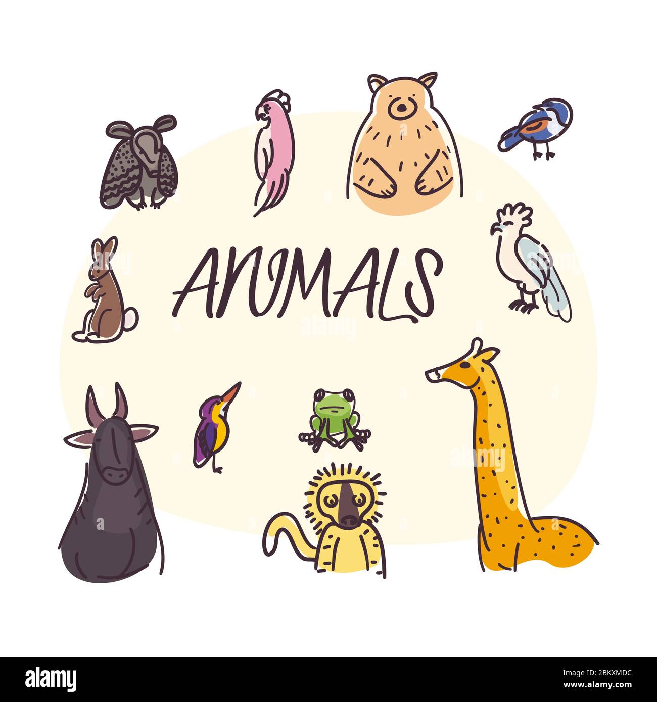 Wild Animals cartoons design, Zoo life and nature theme Vector ...