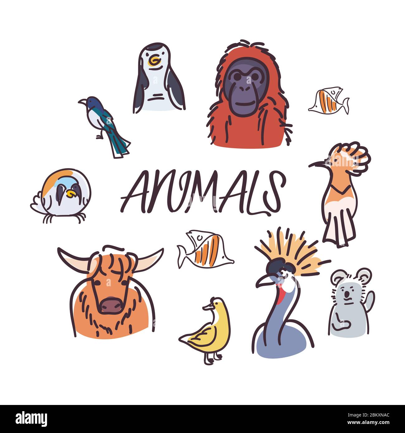 Wild Animals cartoons design, Zoo life and nature theme Vector ...