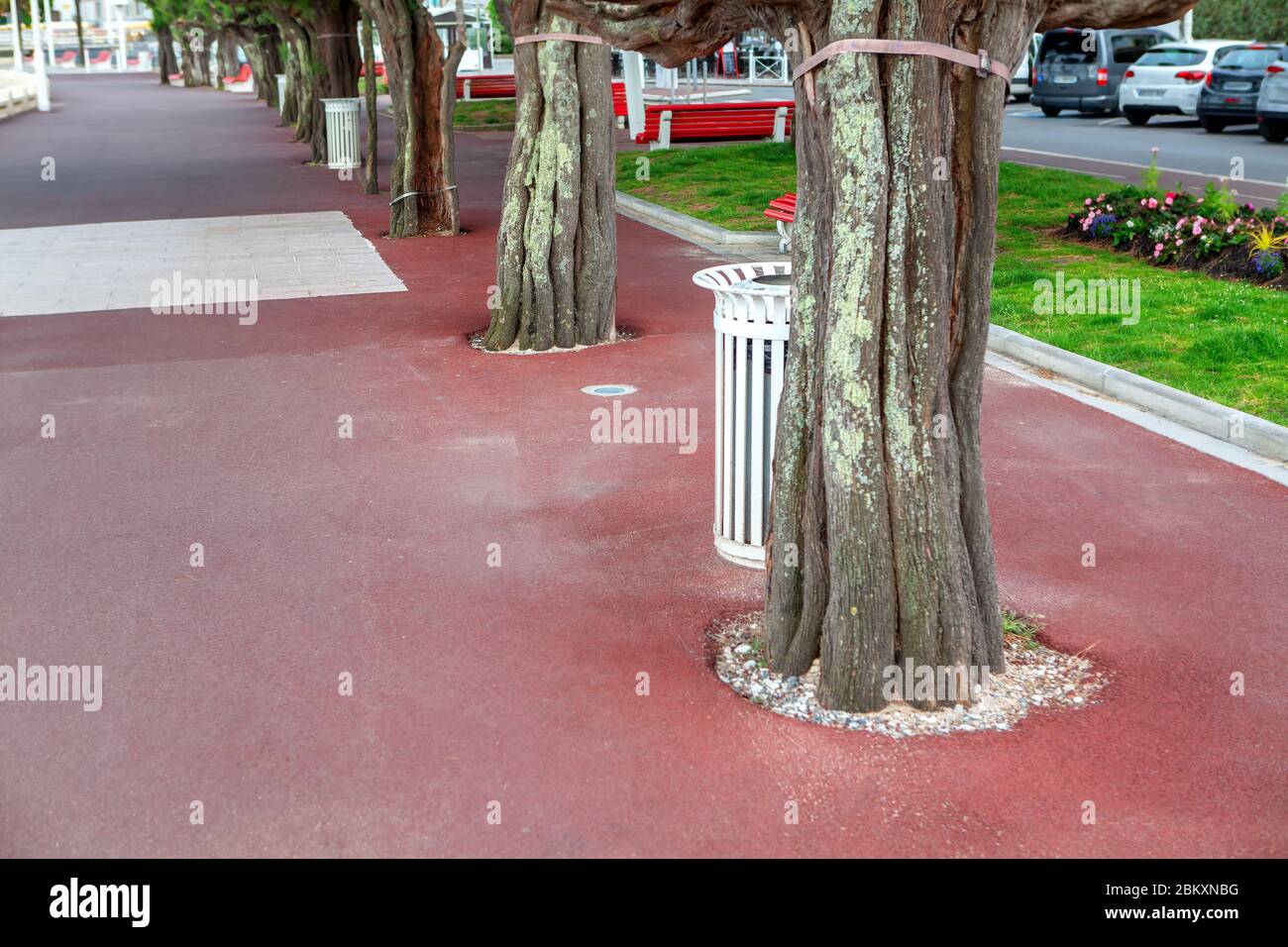 red pavement in the city park Stock Photo - Alamy