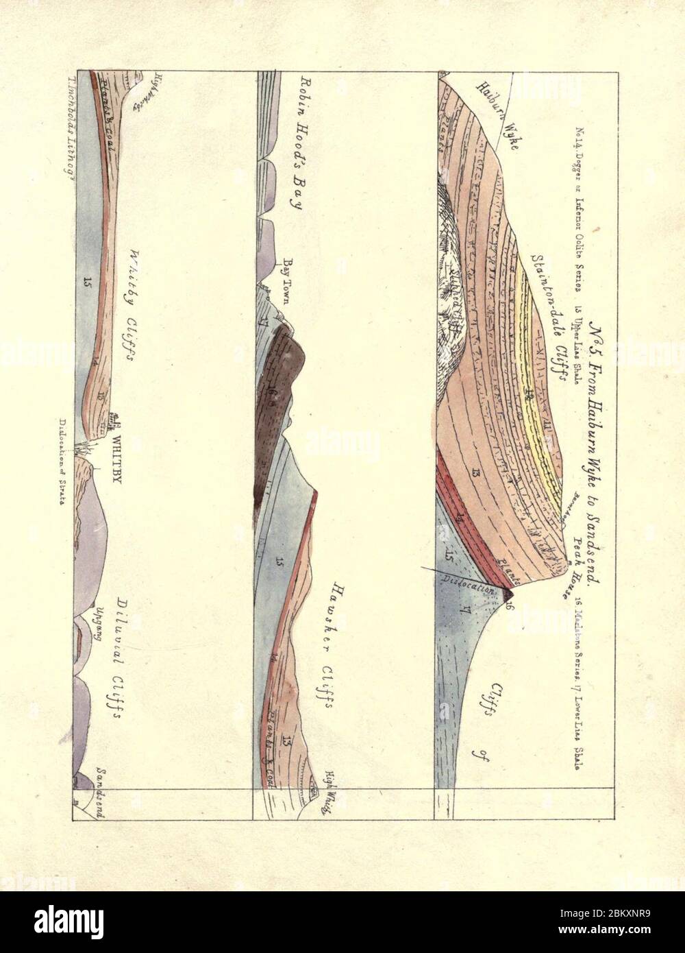 Illustrations of the geology of Yorkshire Stock Photo - Alamy