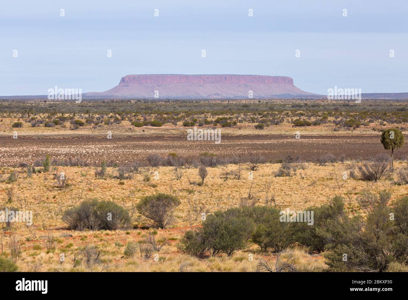 Mt Connor, Northern Territory, Australia Stock Photo - Alamy