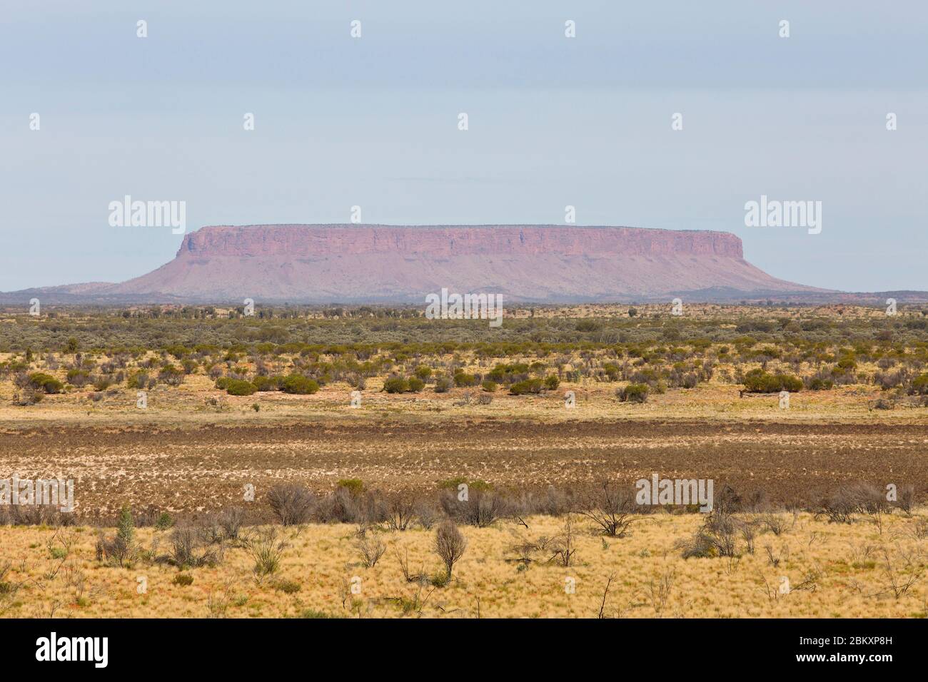 Mt Connor, Northern Territory, Australia Stock Photo - Alamy