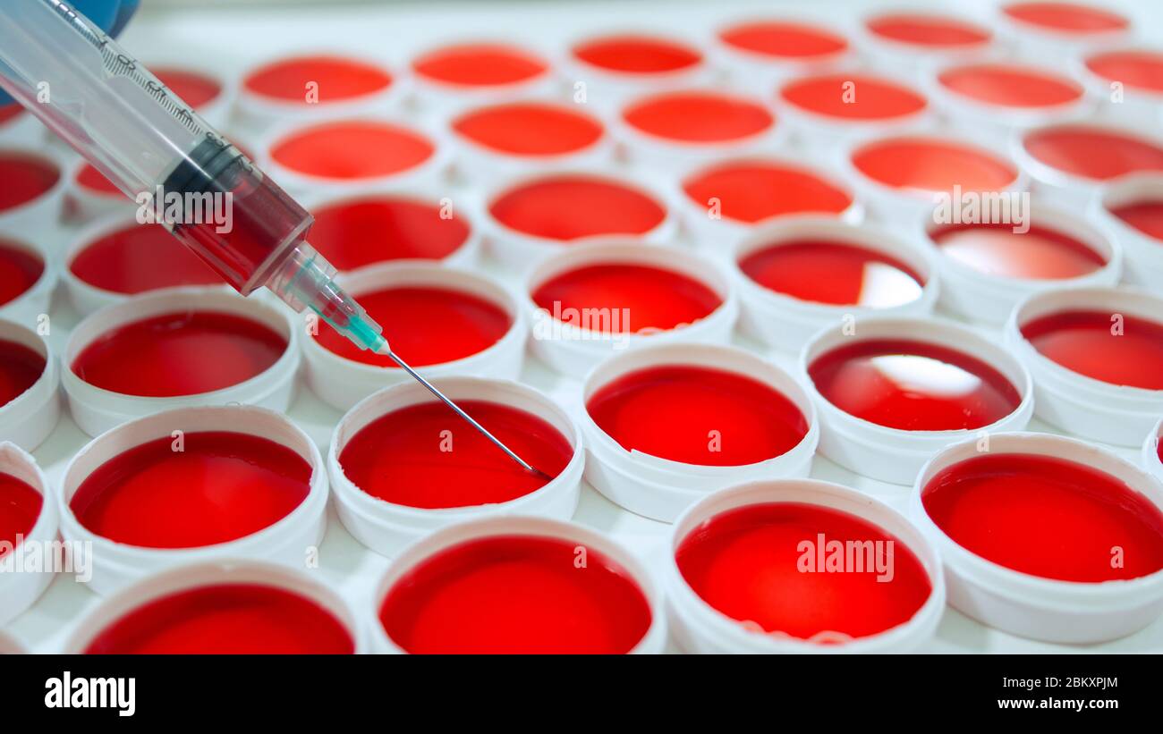 Close up of syringe taking a sample of red liquid from a group of round ...
