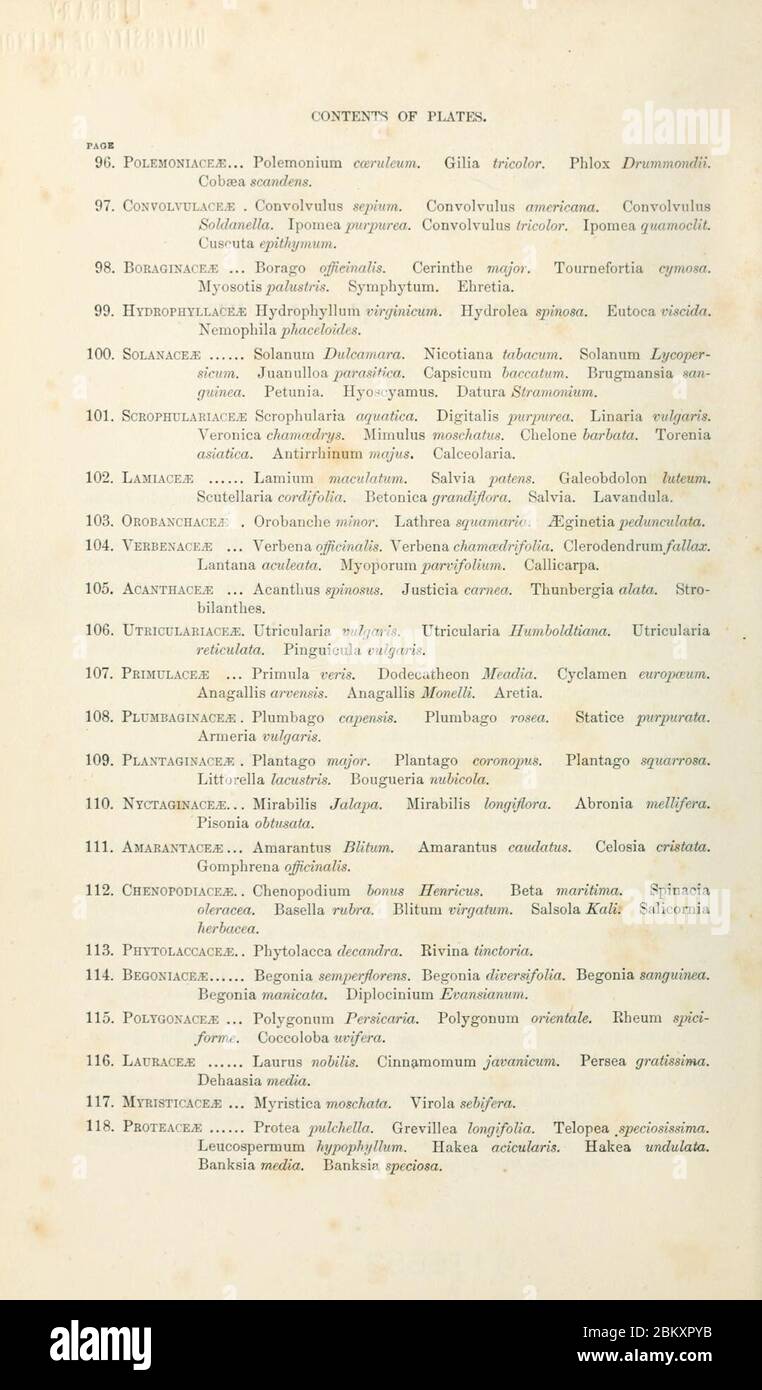 Illustrations of the natural orders of plants with groups and ...